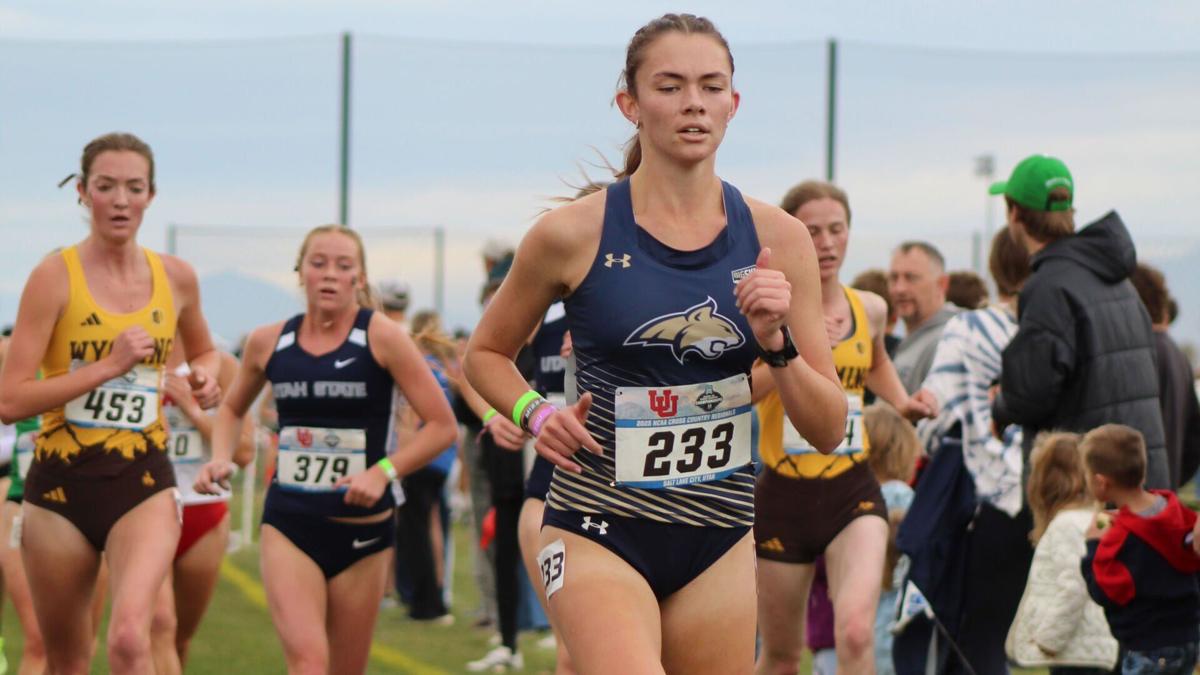 Montana State cross country places 11th at NCAA regionals