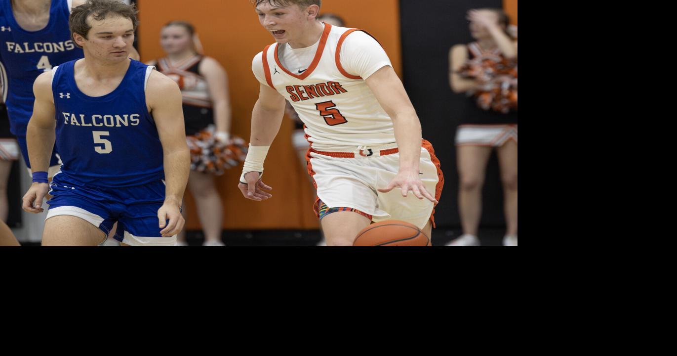Billings Senior beats Billings Skyview in state play-in game