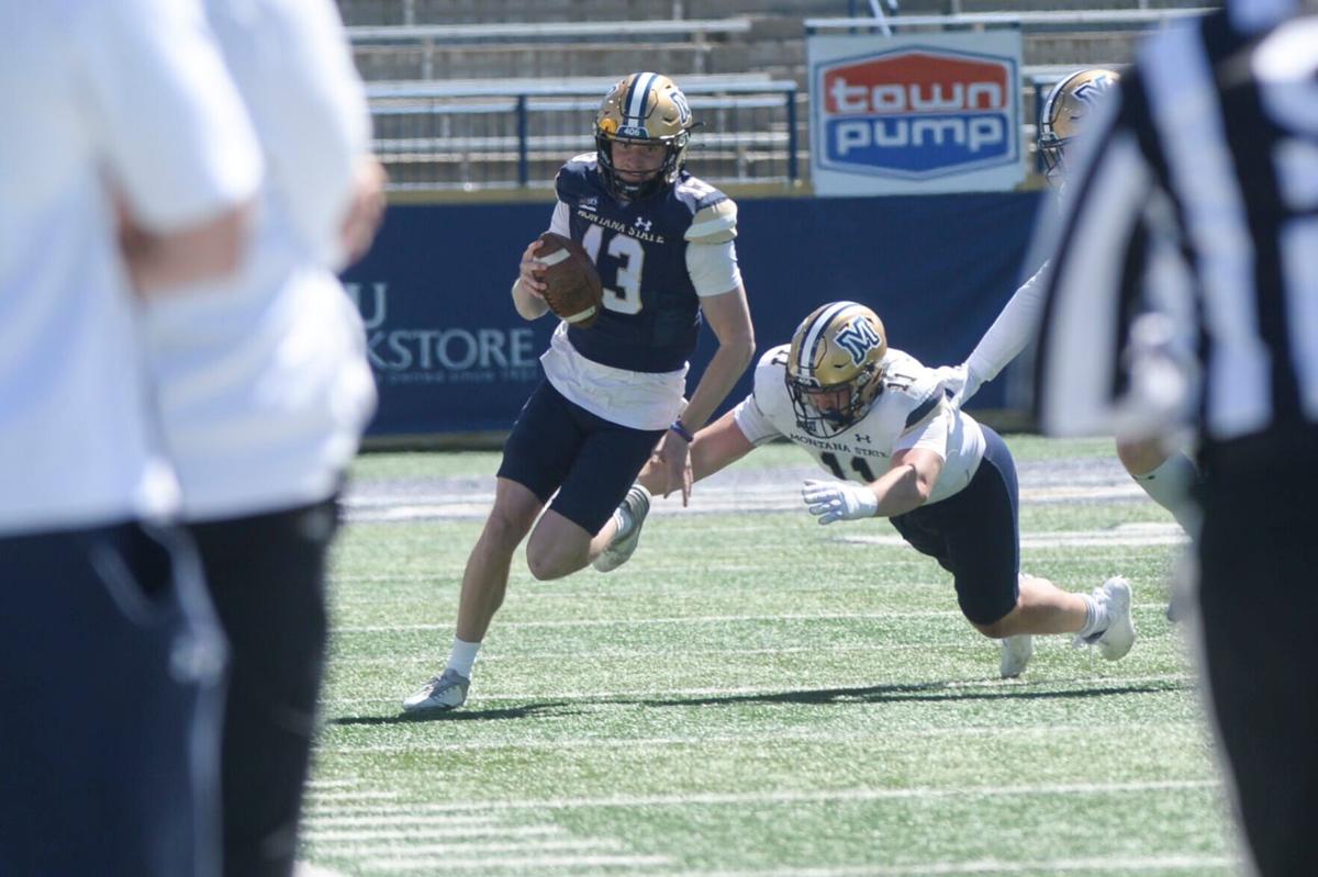 Montana State Bobcats quarterback breakdown 2024