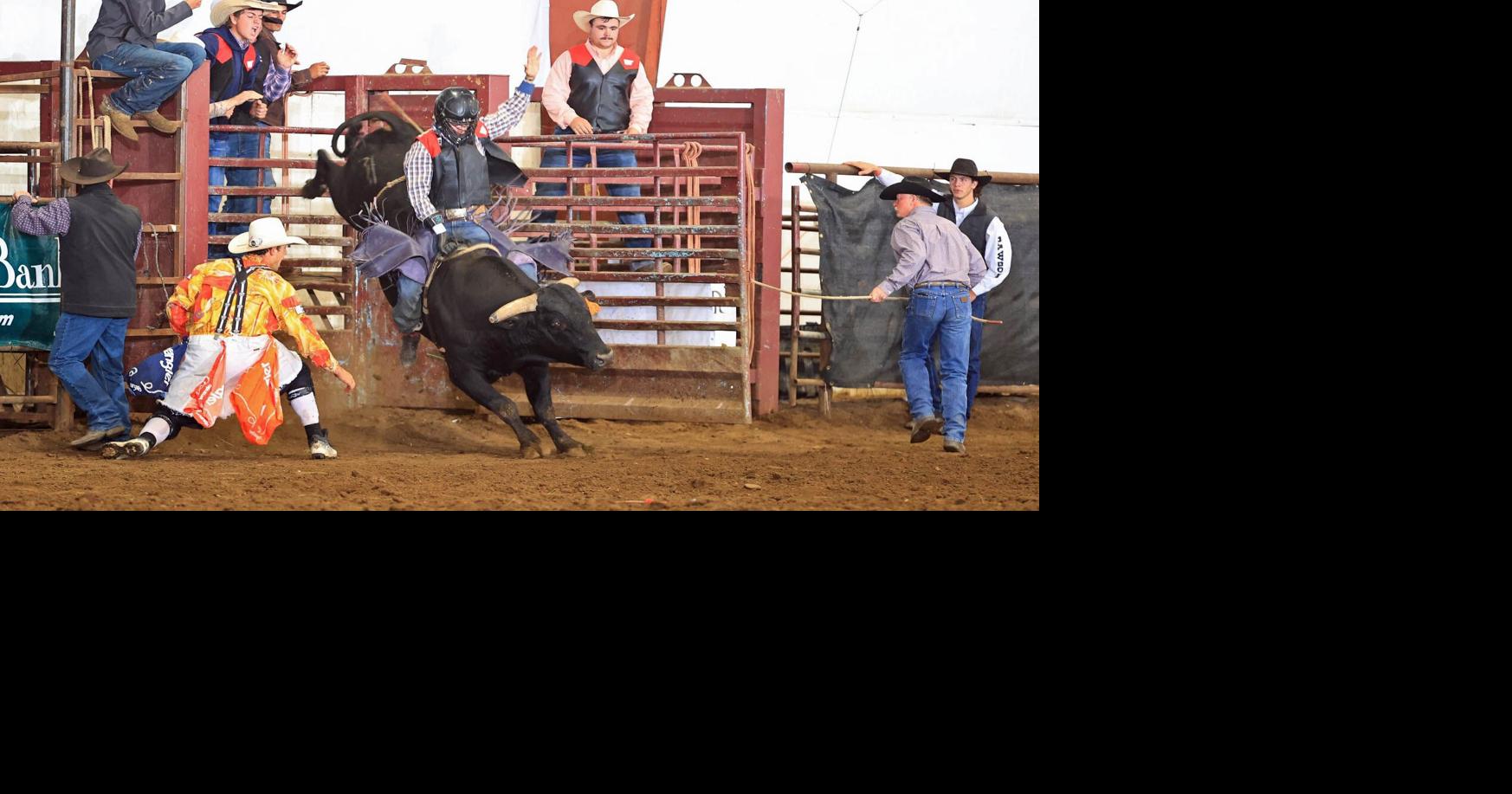 Montana Western cowboy Gavin Knutson relishes PBR chance