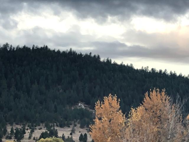 Photos of Montana's hillside letters