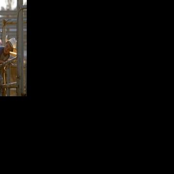 Trevor Brazile puts family first as he pulls off the rodeo road