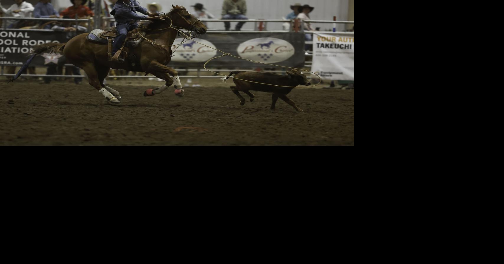 Montana high school rodeo finals photos