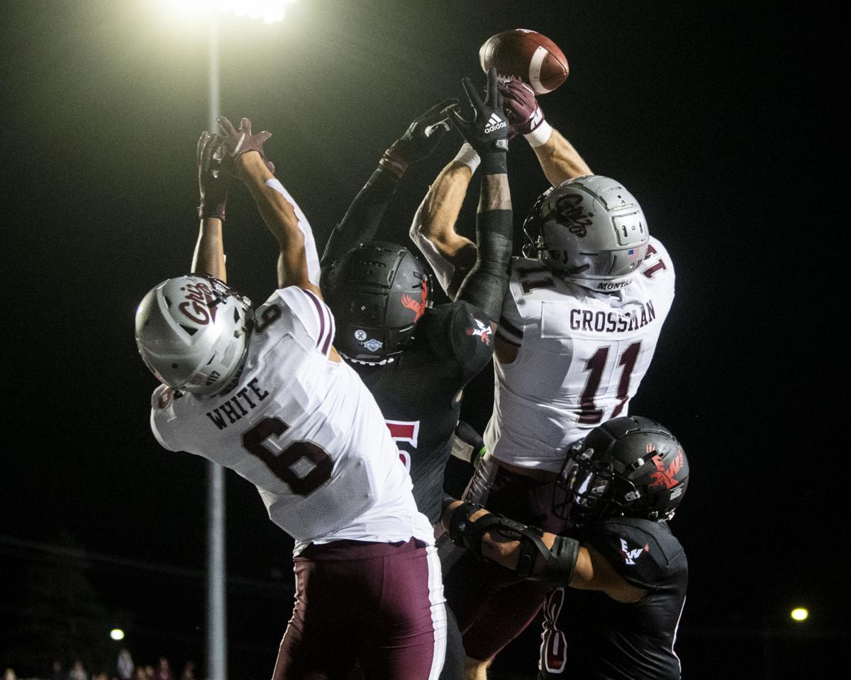 Griz analysis: Trying to better understand the long and short of ...