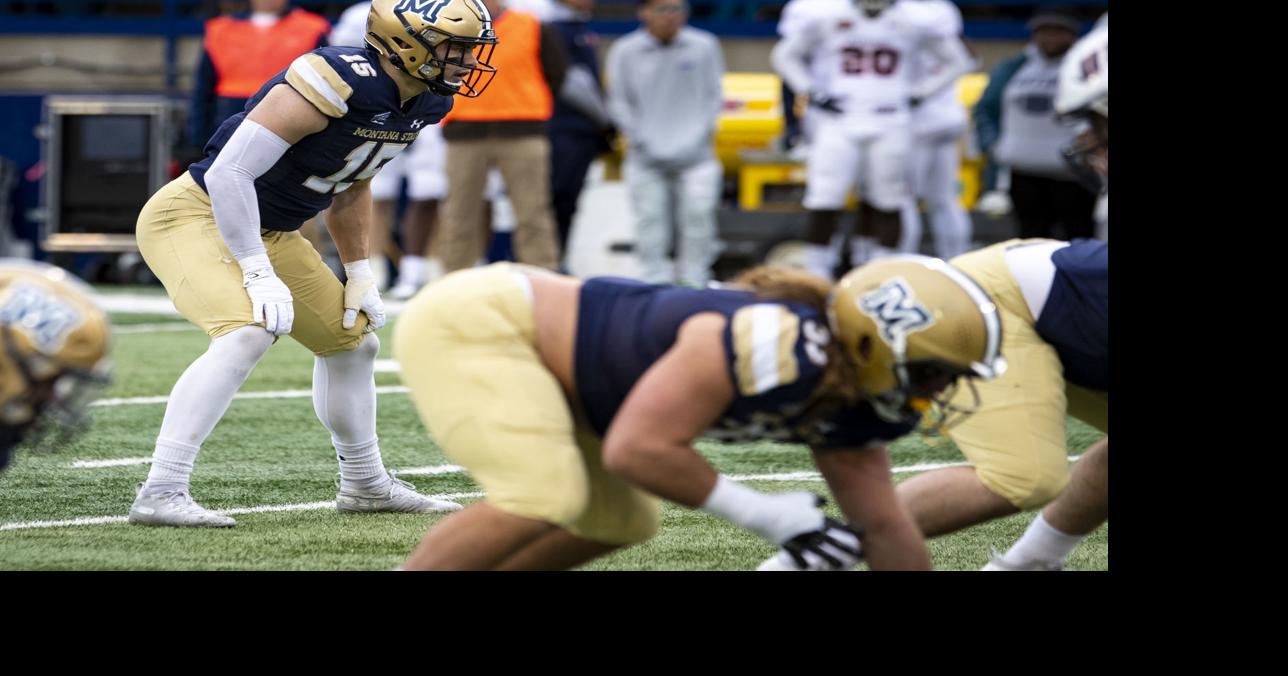 Montana State's Troy Andersen honored to be scholar-athlete, Buck ...