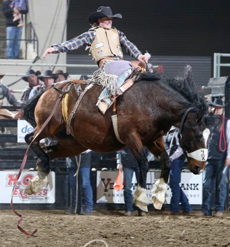 Brody Cress continues hot streak with Chase Hawks saddle bronc win