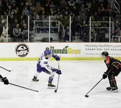 Helena Bighorns extend their winning streak to eight games