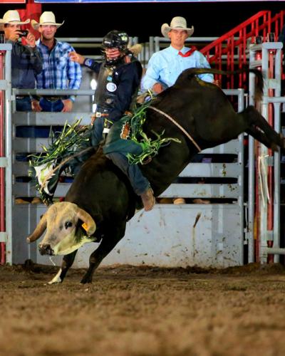 Louisiana tie-down roper, Canadian bull rider win big
