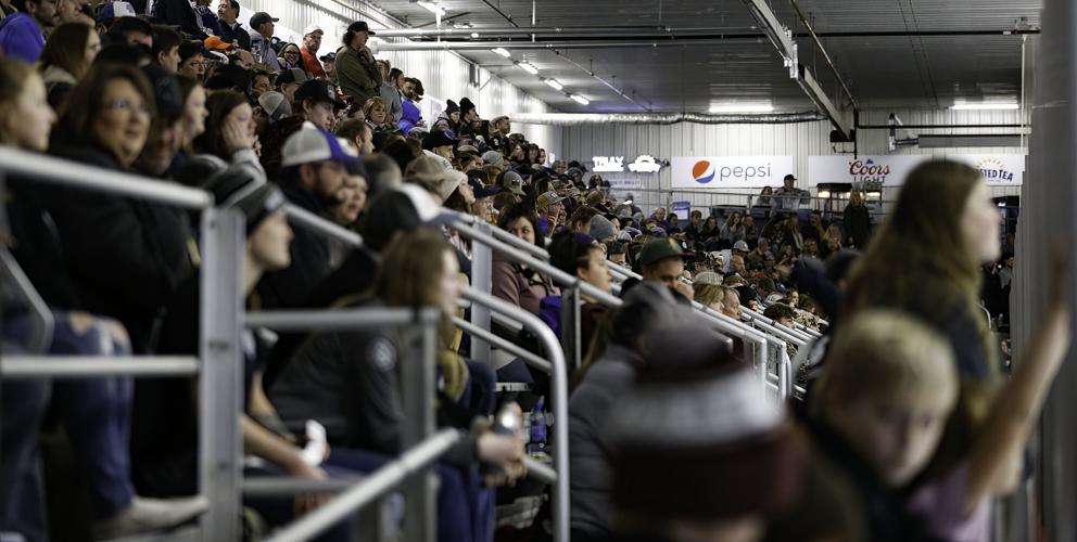 Still undefeated: Helena Bighorns knock off Gillette Wild in front of ...