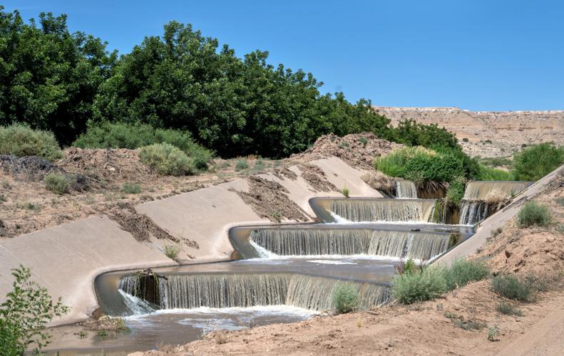 New Mexico's agriculture sector uses more than 80% of its fresh water ...