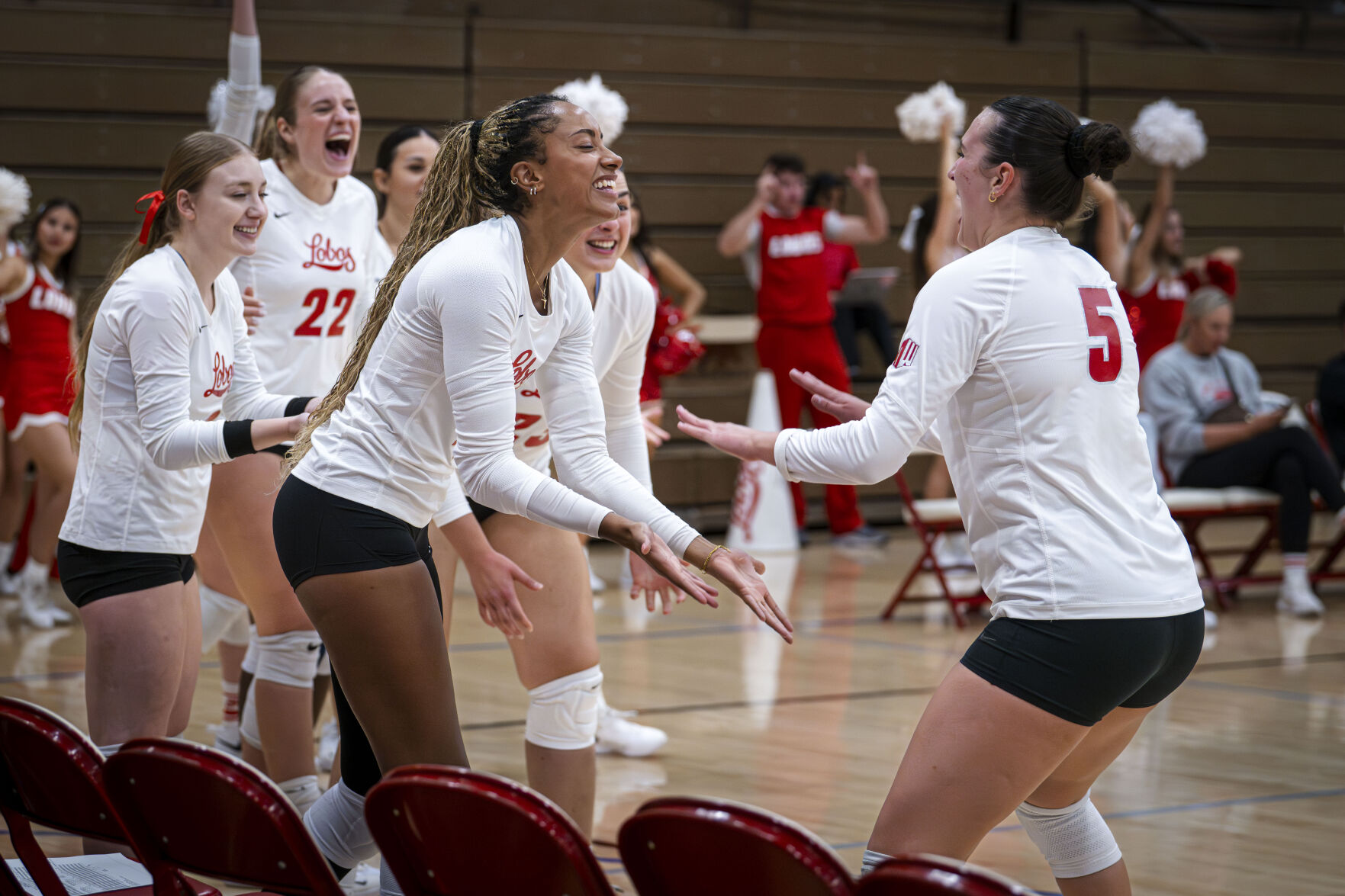 UNM volleyball outlasts NMSU in five-set battle | Sports | abqjournal.com