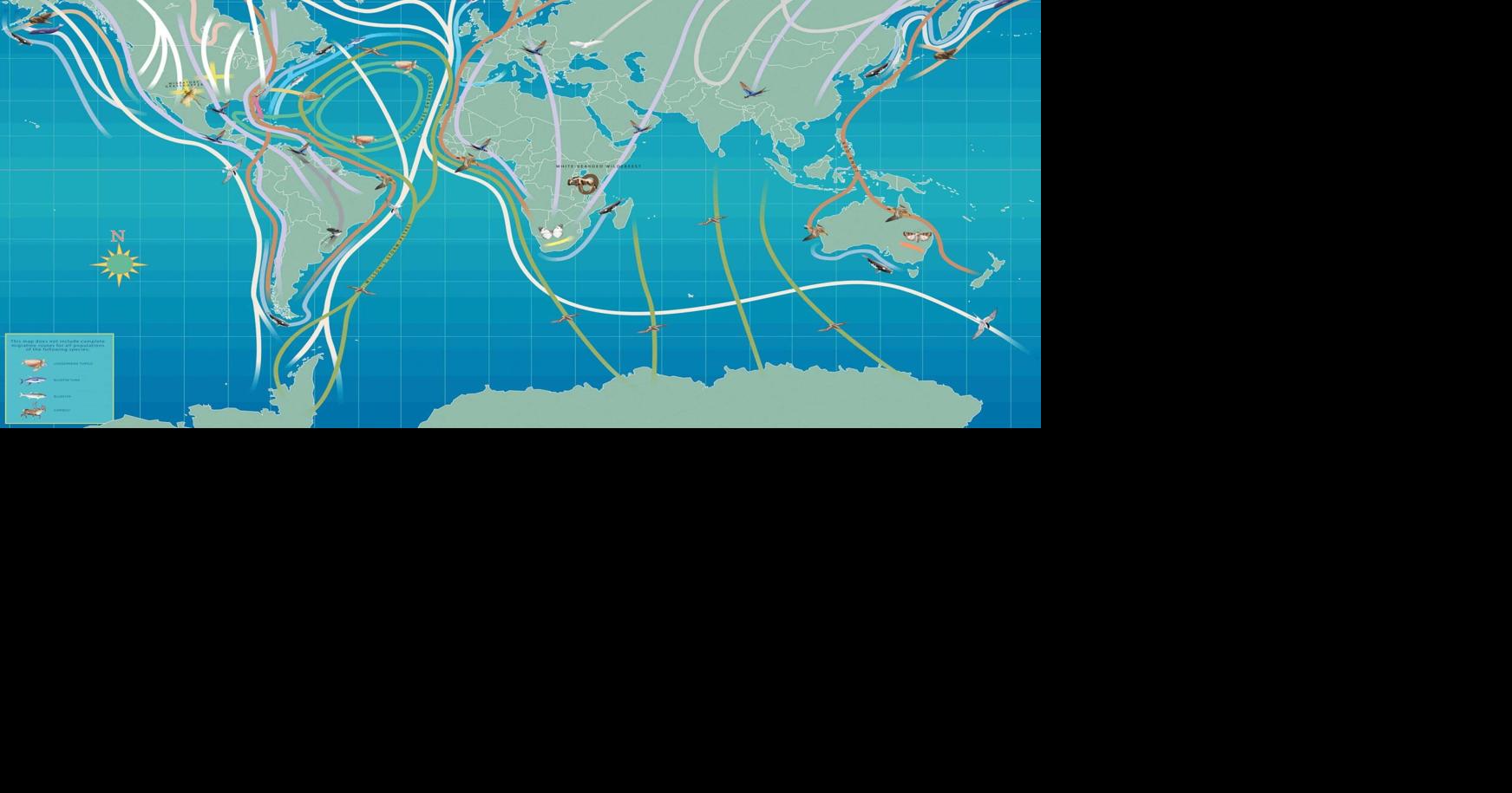 'Migratory' pairs the migration of plants and animals with human ...