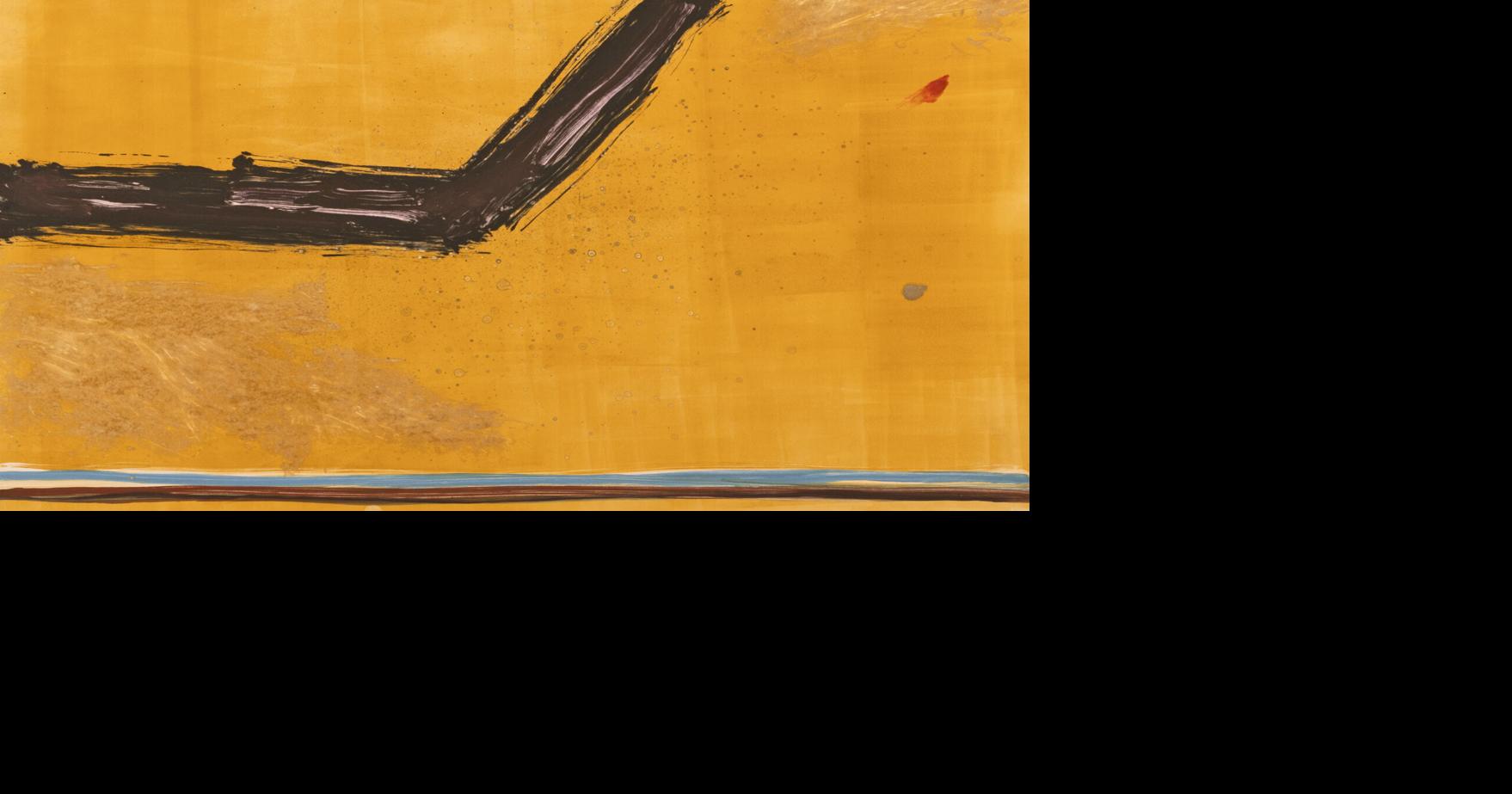 NM Museum of Art exhibit explores the language of line | Lifestyle ...