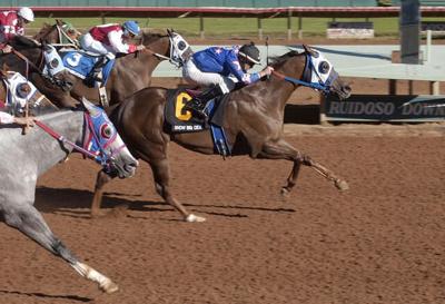 Racing commission denies license application | Local News | abqjournal.com