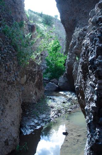 Ladder Reserve at Ted Turner Reserves opening to eco-tourism while ...