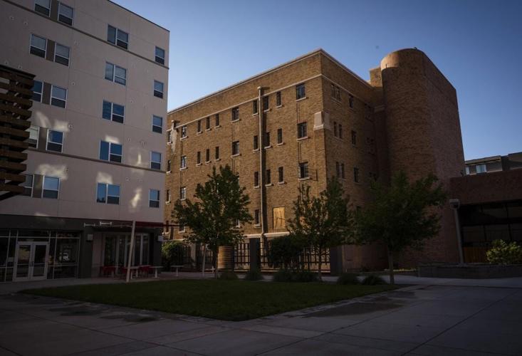 Building a high-tech 'jungle' for creative industries | Local News ...