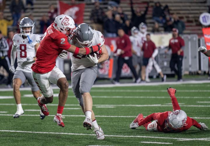 UNM football notebook: A statement win, a stormed field and a turning ...