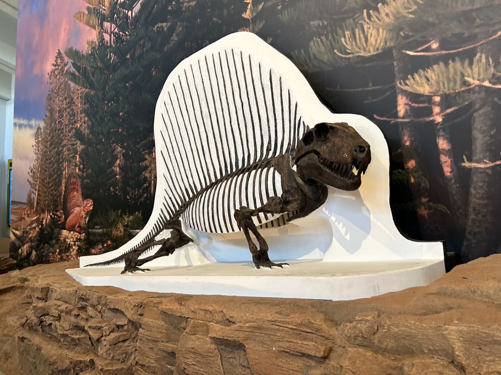 'Ancient Life' opens at Museum of Natural History & Science | Lifestyle | abqjournal.com