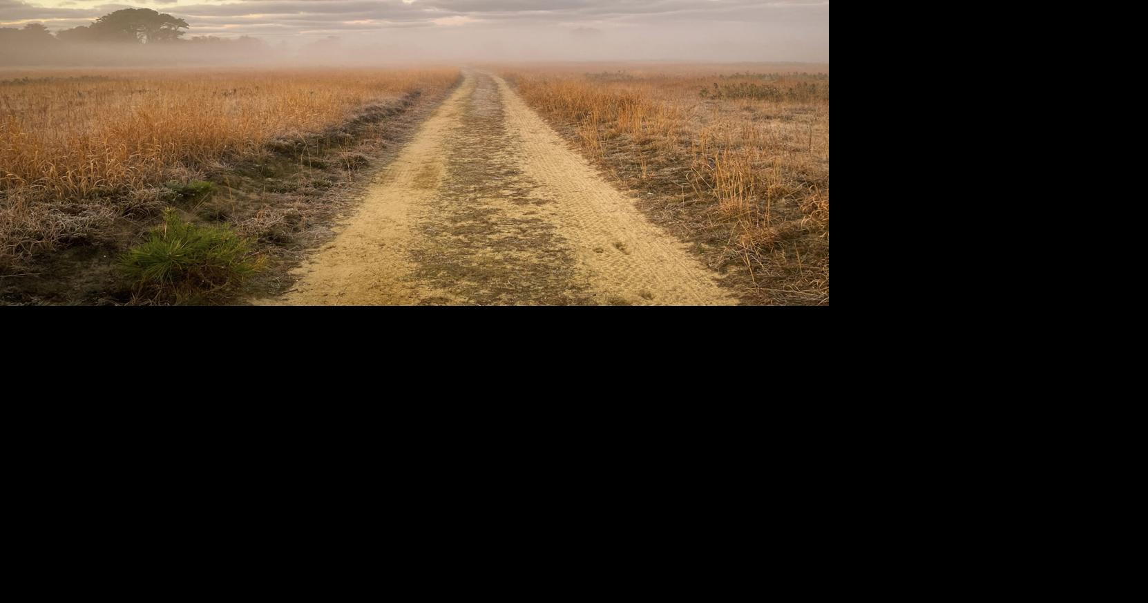 John Seip Hummock Pond | | ack.net