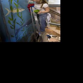 Under the sea in Mitchell's new elevator shaft | Miscellaneous | ack.net