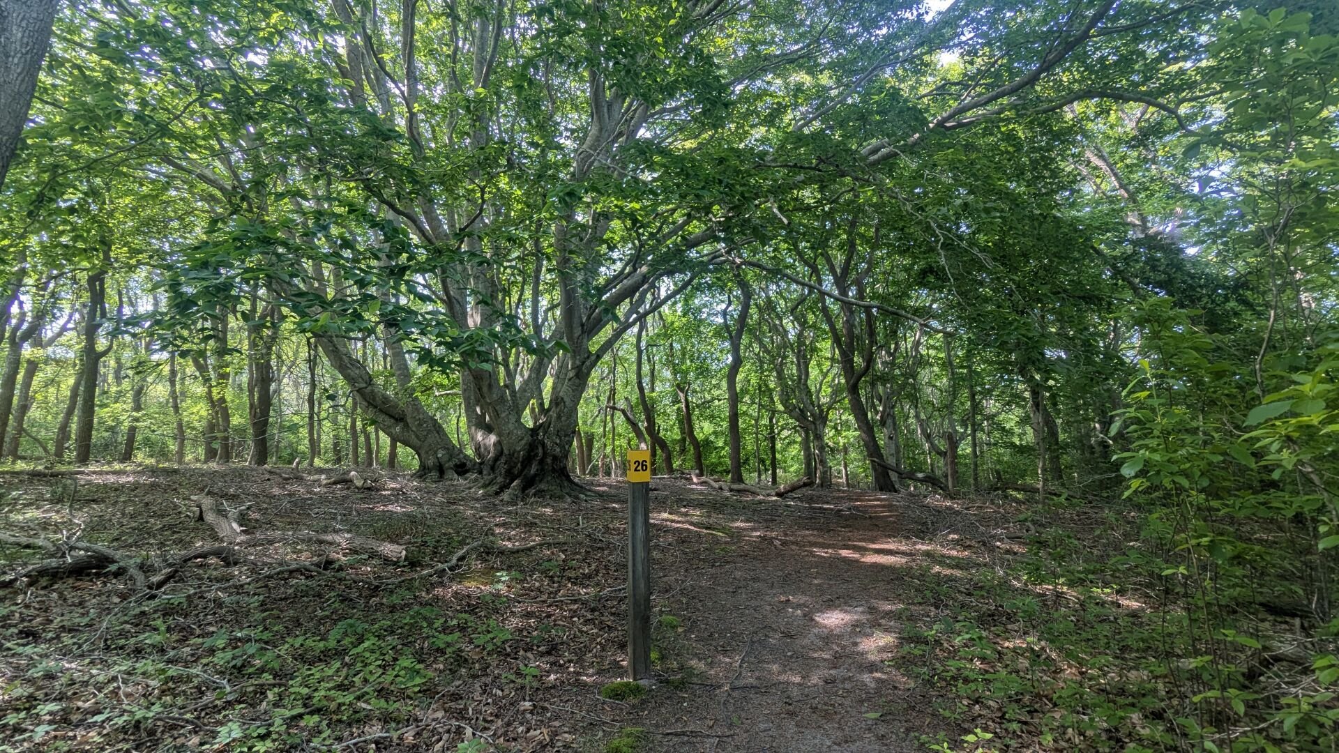 Squam Swamp Winter Walk Sunday | Conservation & Preservation | ack.net
