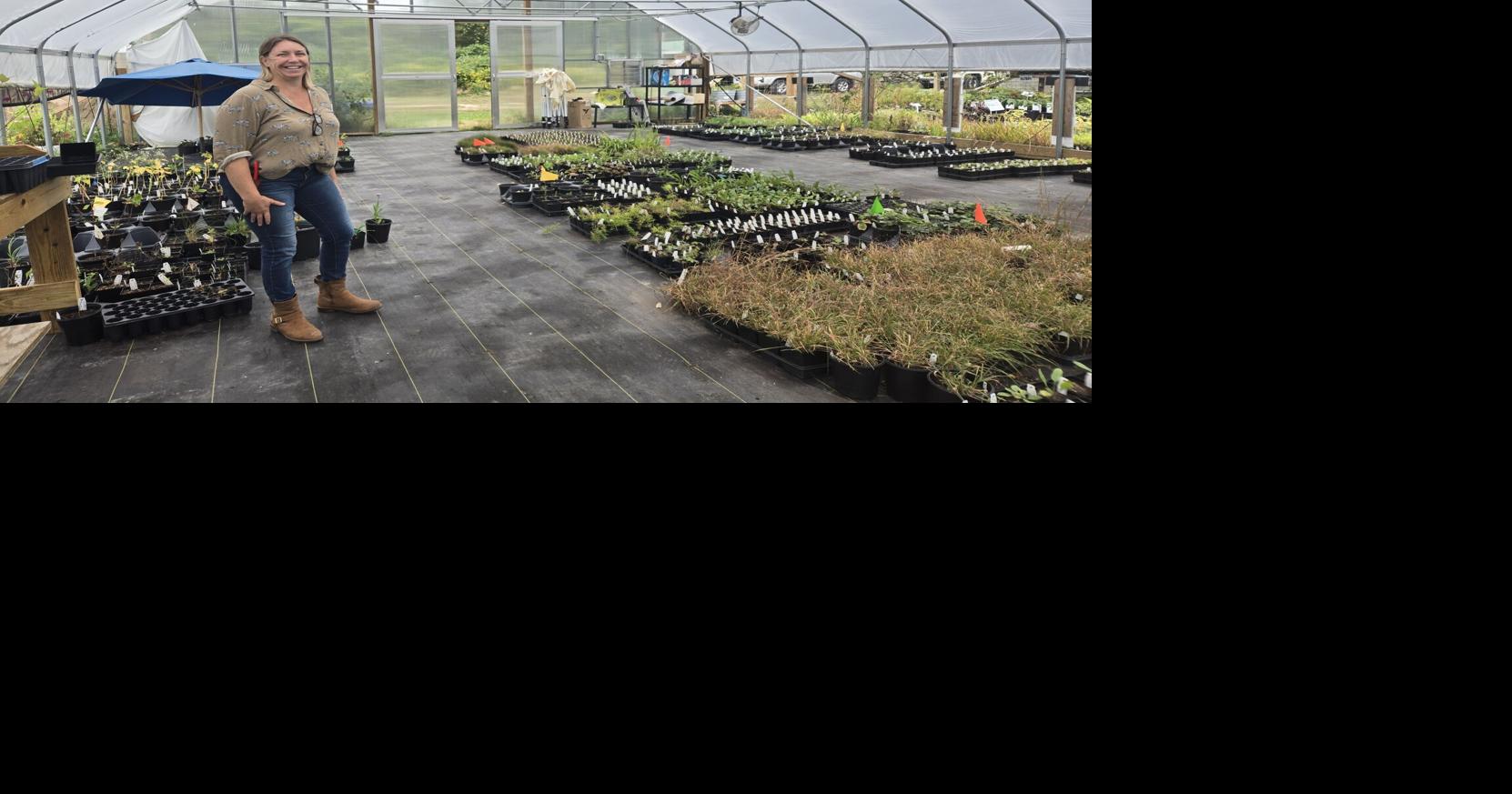 The butterfly effect: A few native plants can make a big difference ...