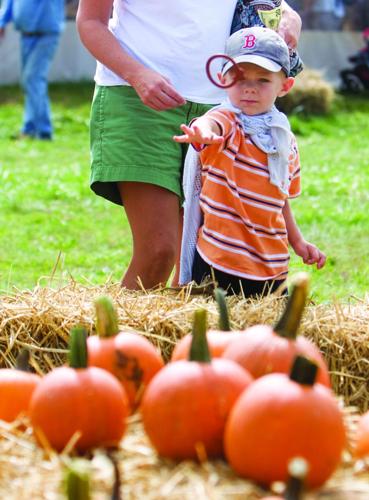 Island Fair returning to Tom Nevers | Lifestyle | ack.net