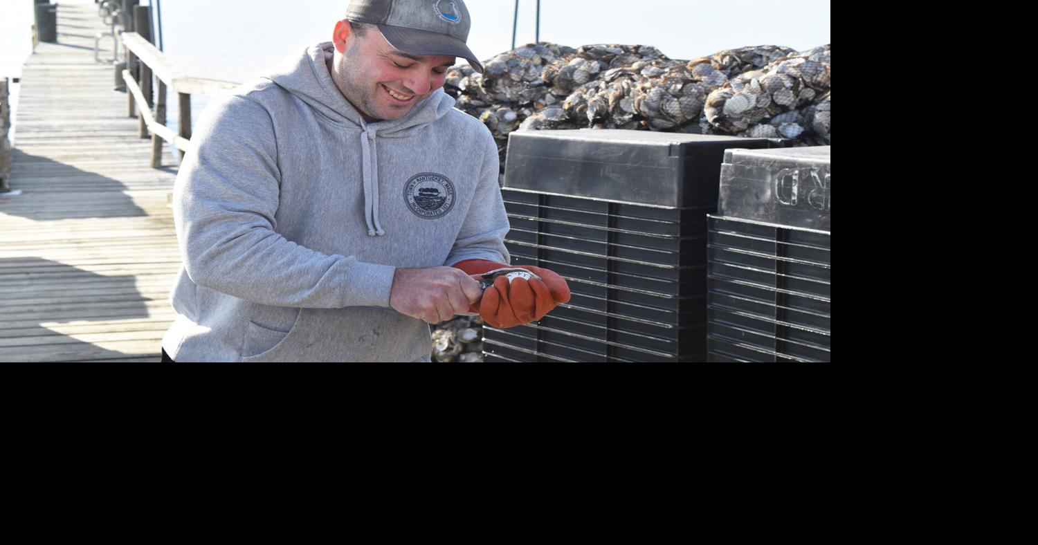 Quentin the Quahog making his prediction Sunday | Lifestyle | ack.net