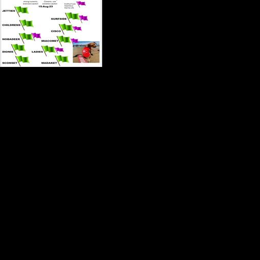 Today’s Beach Report: Calm with a chance of jellyfish | Weather | ack.net