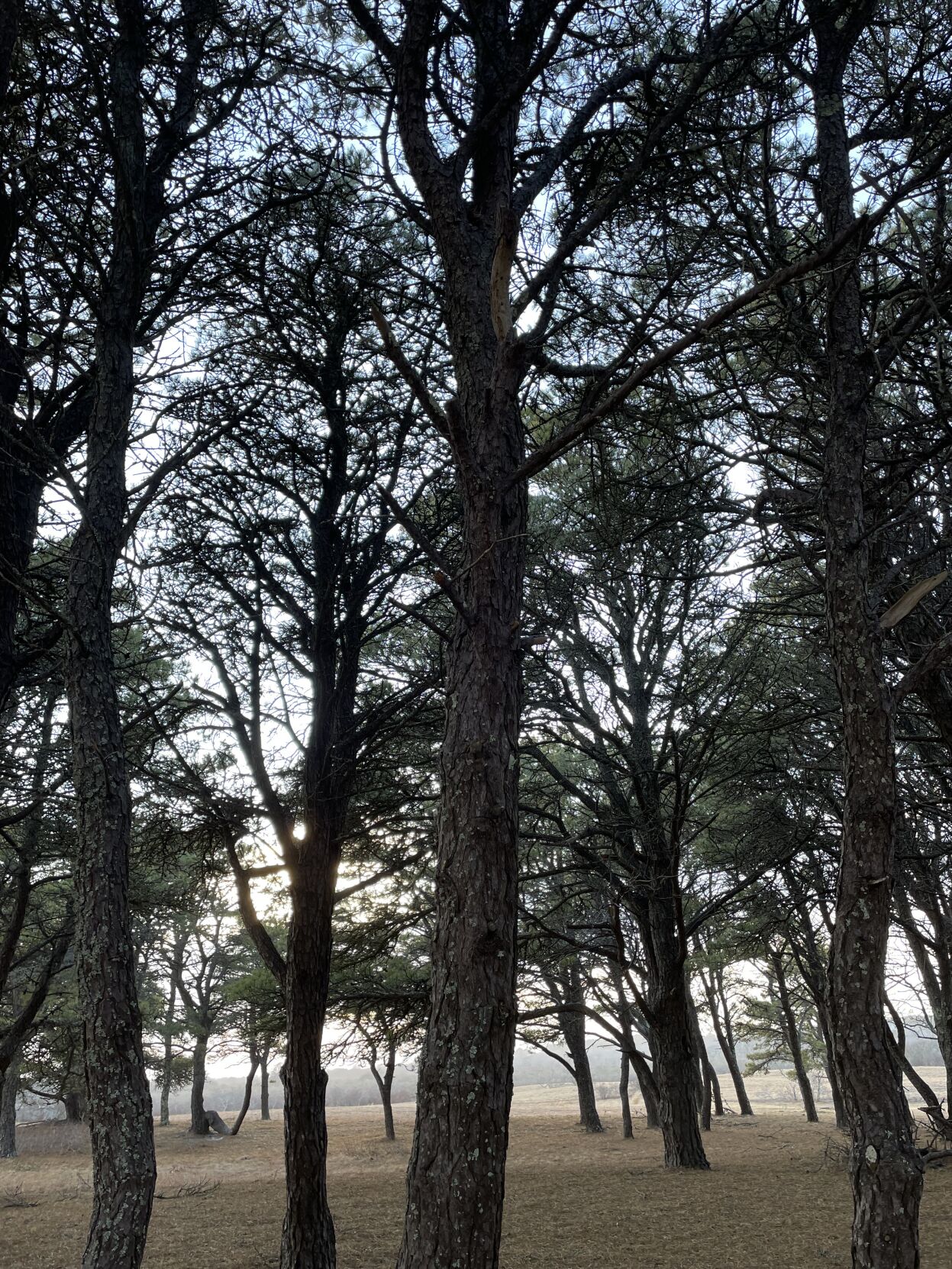 Photo Gallery: Signs of Spring | News | ack.net