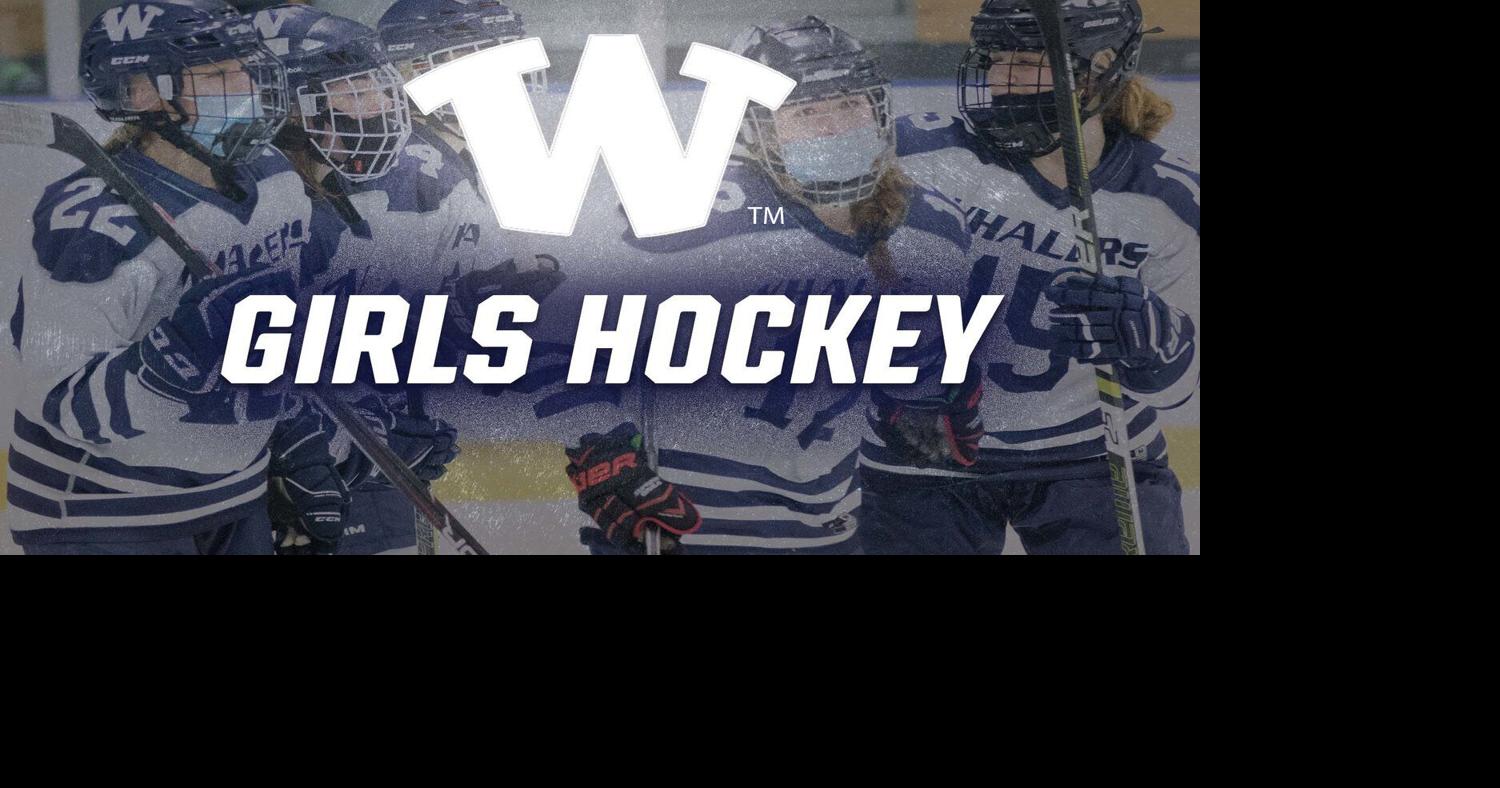 Girls hockey loses to Cape Cod Furies 14-0 | Sports | ack.net