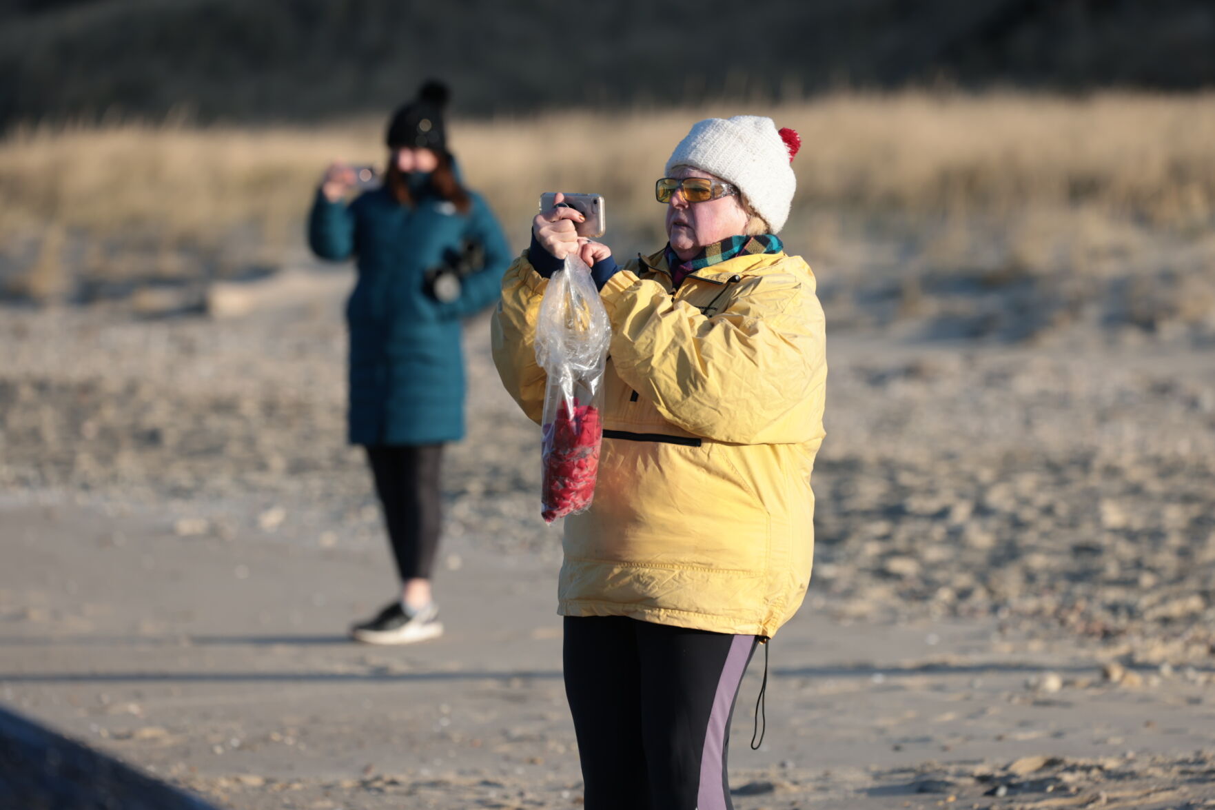 Lower jaw removed from sperm whale, plans afoot to move behemoth from ...