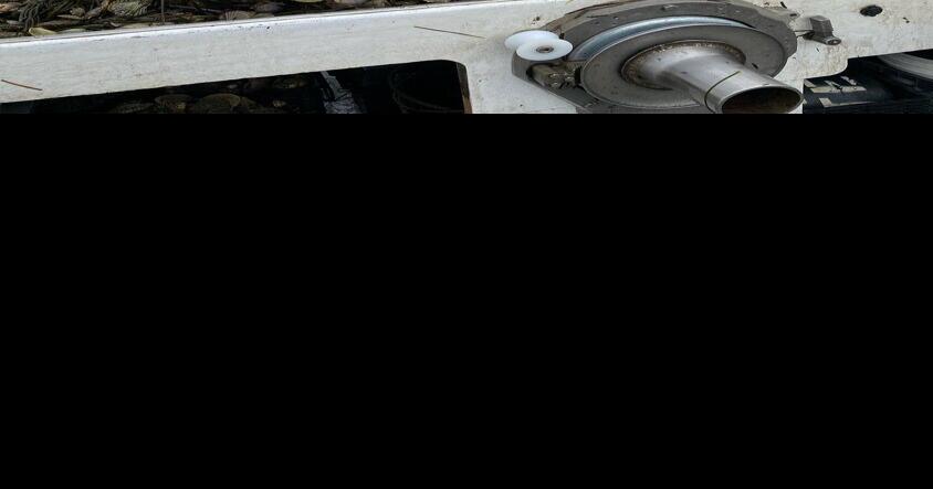 Red Flag Day: Commercial scalloping halted for massive seed move ...