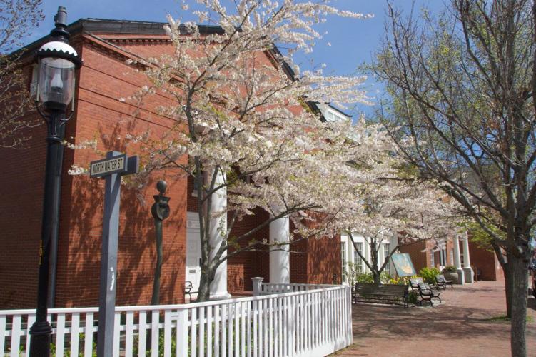 Photo Gallery: Spring Scenes | Photo Galleries | ack.net