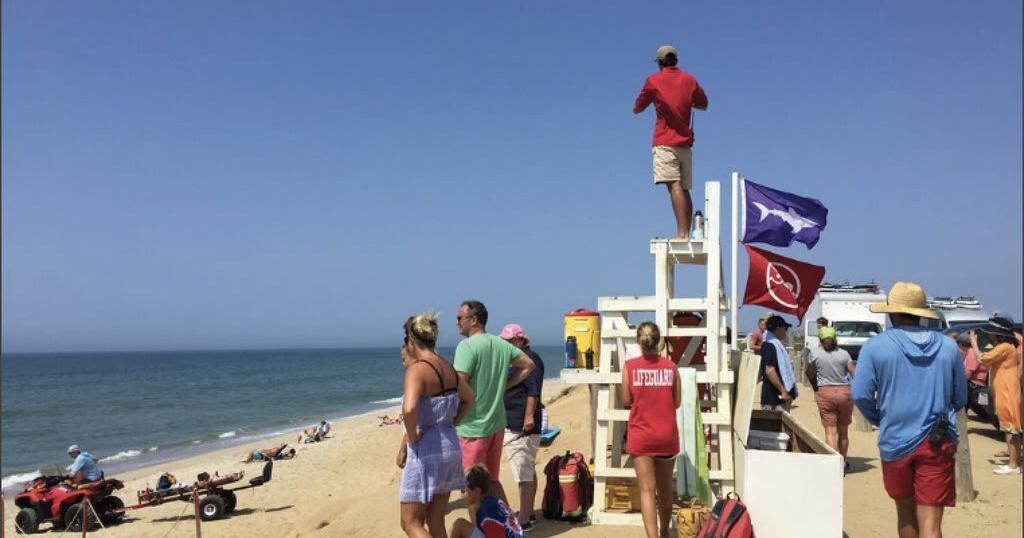 Shark sightings off Cisco close beaches | Miscellaneous | ack.net