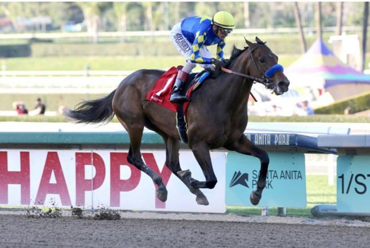 Horse with Nantucket connections finishes 15th at Kentucky Derby ...