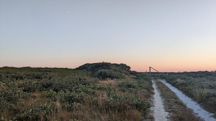September splendor in the Middle Moors | Environment | ack.net