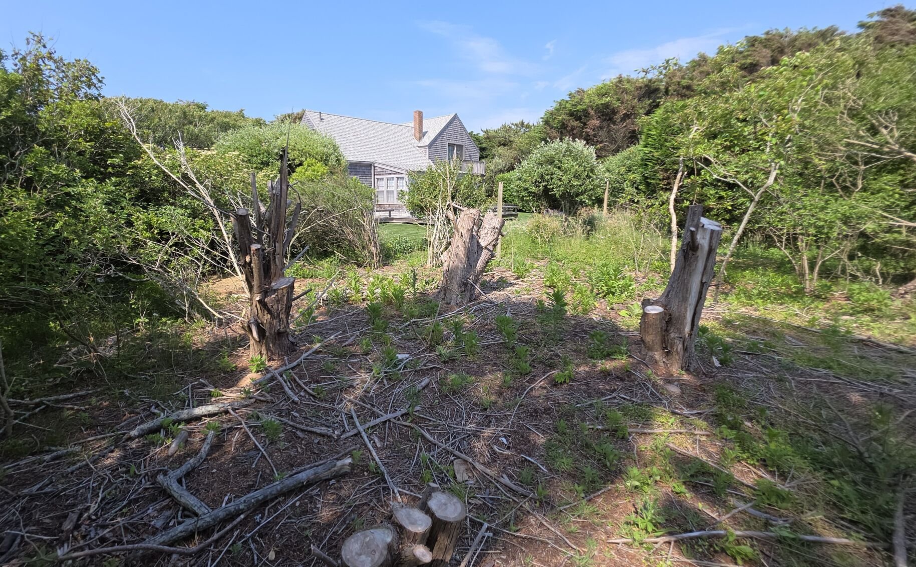 Cisco homeowner accused of cutting neighbors trees has charges dropped | News | ack.net