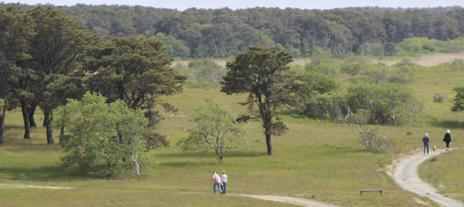Winter walk at Pout Ponds Sunday | Environment | ack.net