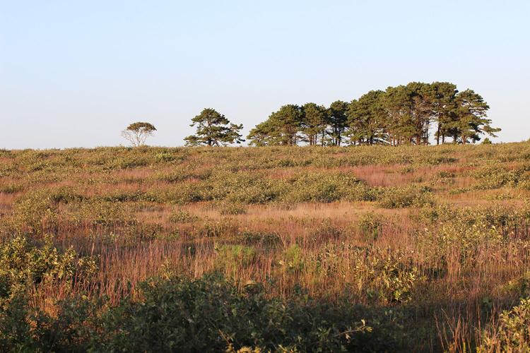 September splendor in the Middle Moors | Environment | ack.net