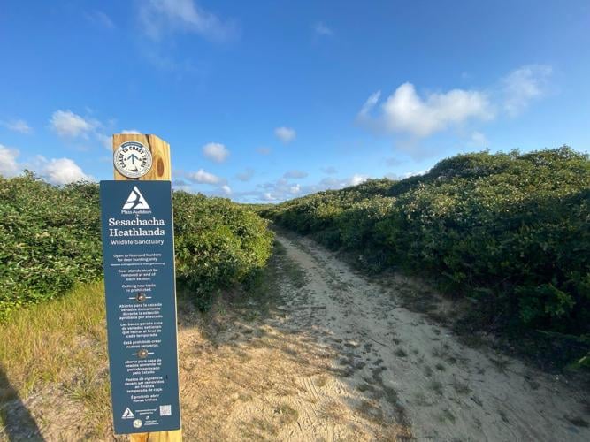 A Long Walk: Nantucket's Coast-to-Coast Trail | Lifestyle | ack.net
