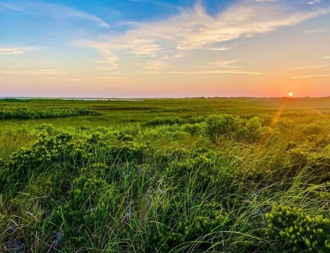 Land Bank picks up two more pieces of waterfront property | Real Estate ...