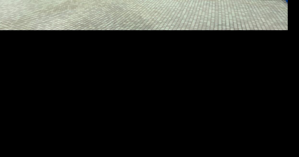 Girls swim wins C&I Championship, boys finish second | Sports | ack.net