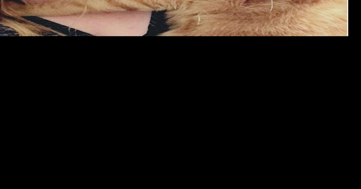 Daphne Bostwick | | ack.net