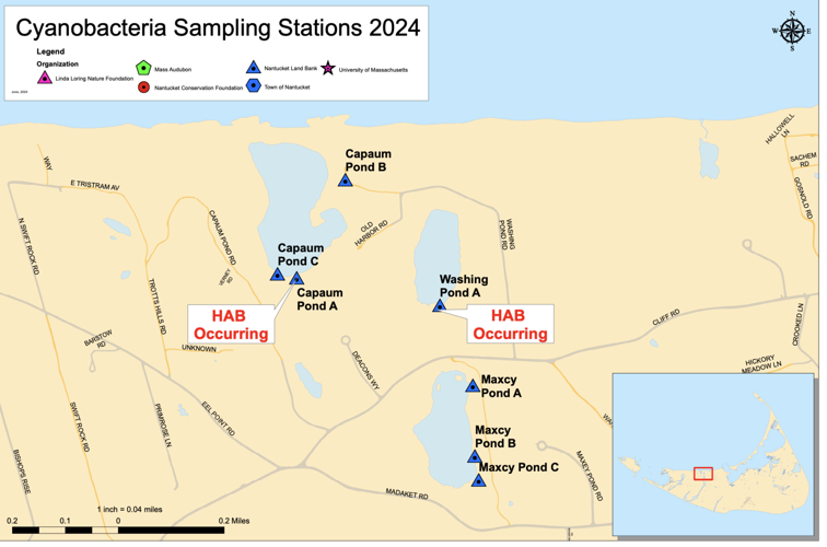Harmful algae blooms in five island ponds | Environment | ack.net