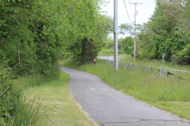 Night and day on outer Polpis Road | Biology | ack.net