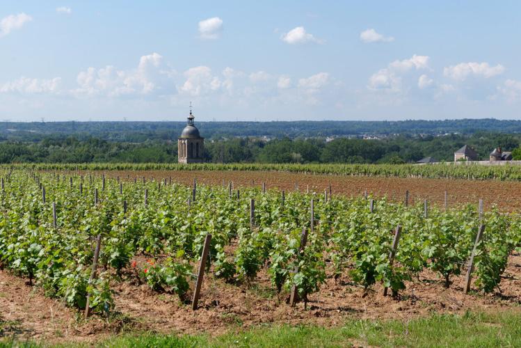 Vouvray: A long history of versatile wine | Lifestyle | ack.net