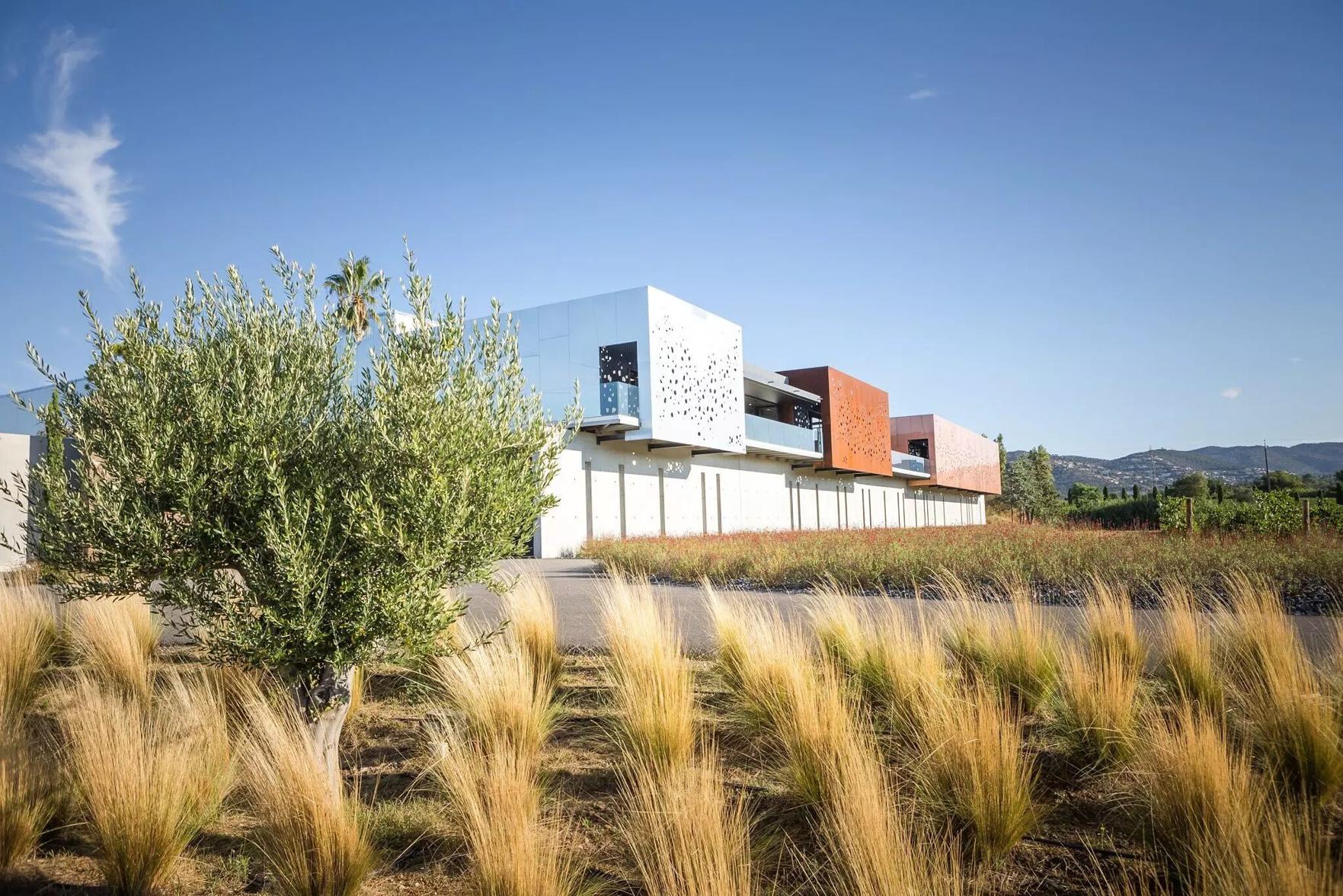 Provence to Nantucket: Olivier Fayard on winemaking | Lifestyle | ack.net