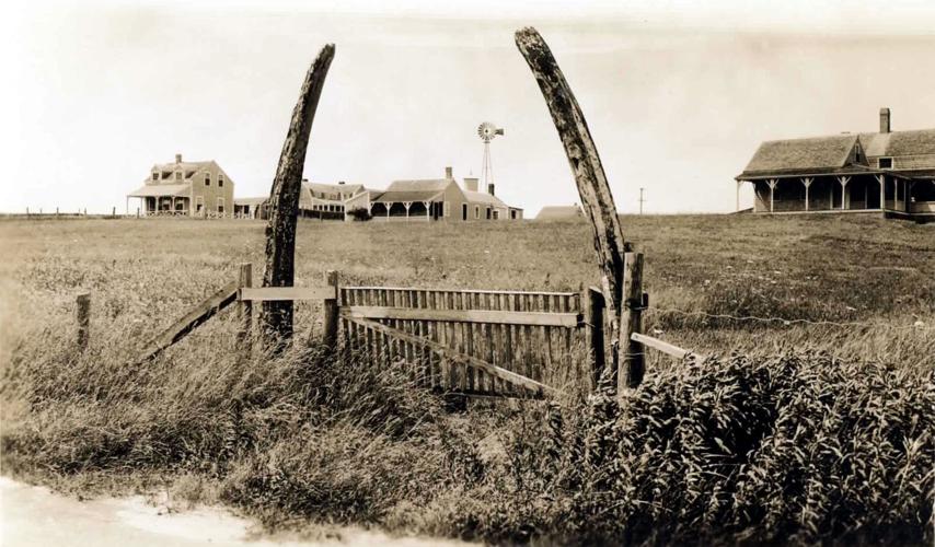 Whalebone architecture | History | ack.net