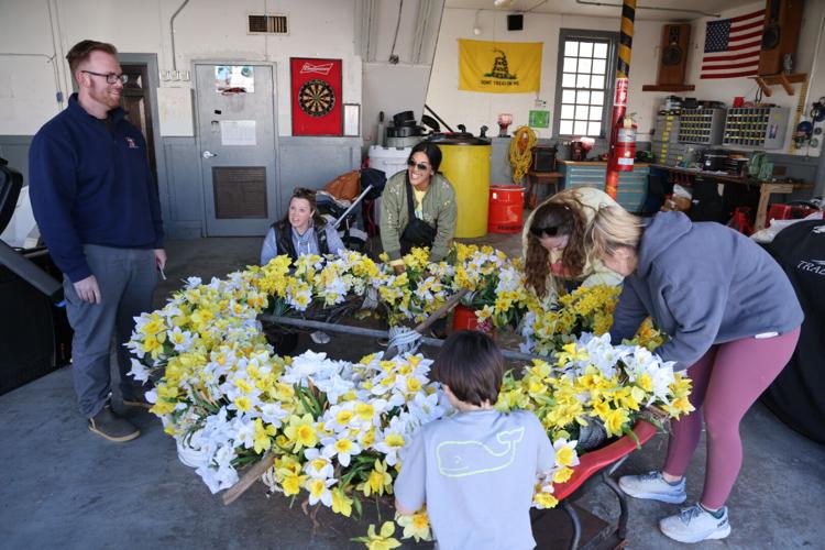 Photo Gallery: Daffodil wreath decoration at Station Brant Point ...